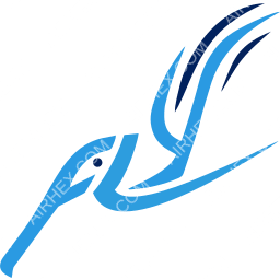 Heli and Co airline profile - ICAO code HCC (updated 2025) - Airhex