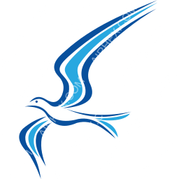 NHV - Noordzee Helikopters Vlaanderen airline profile - ICAO code NHX ...